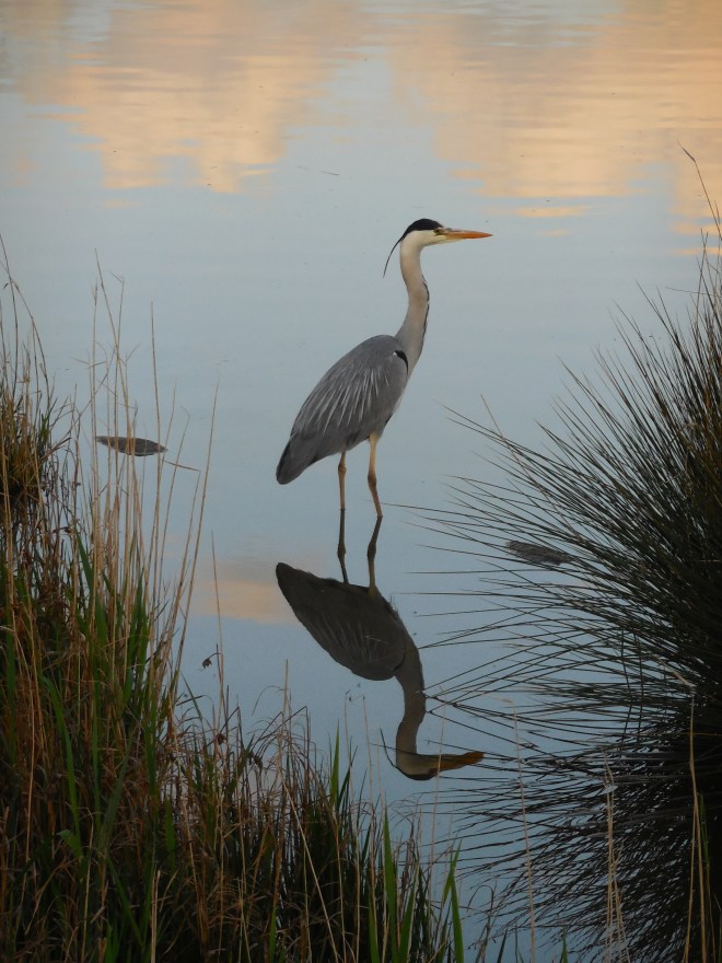 Lente – GroenGeloven